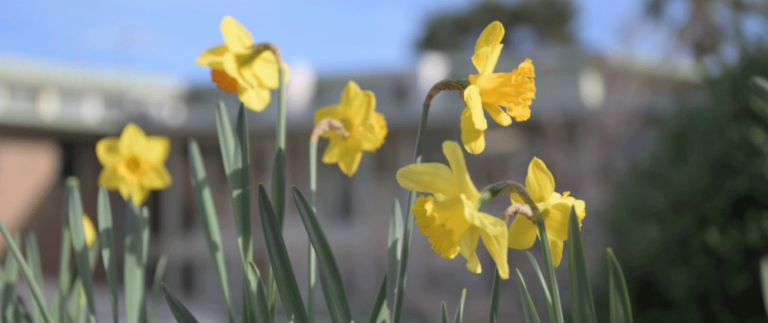 In Memorial - Bayley House